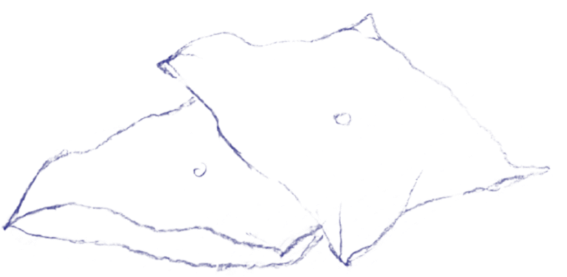 Sabela Juncal - MULTIÓPTICAS
